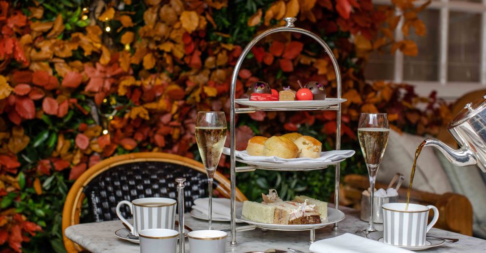 5 Teas To Try This Autumn