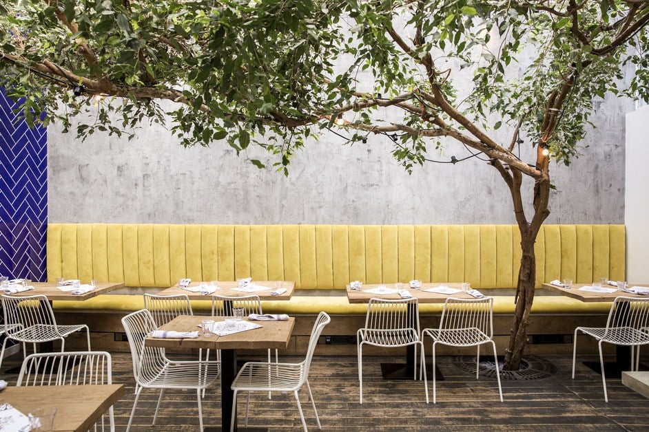 Where To Get Wood: Restaurants With Trees In Them