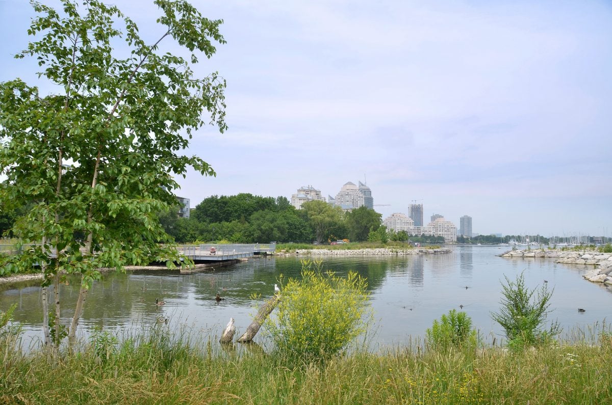 10 Reasons to Visit Toronto, Pronto