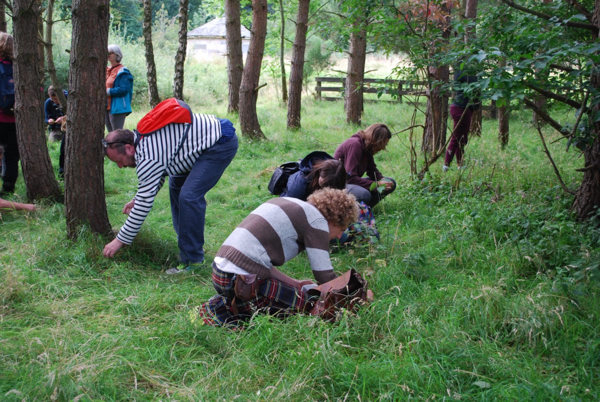 5 Of The UK's Best Foraging Courses For Mushroom Season