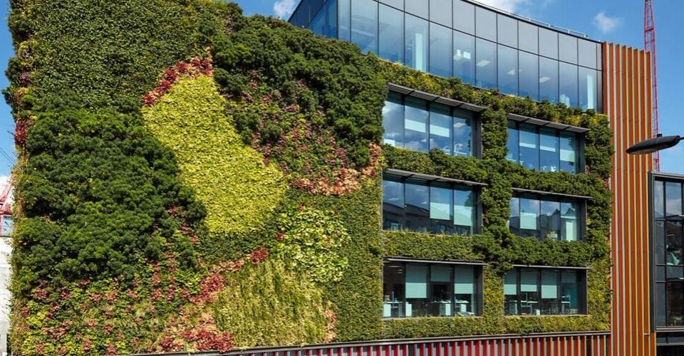London's Greenest Living Walls