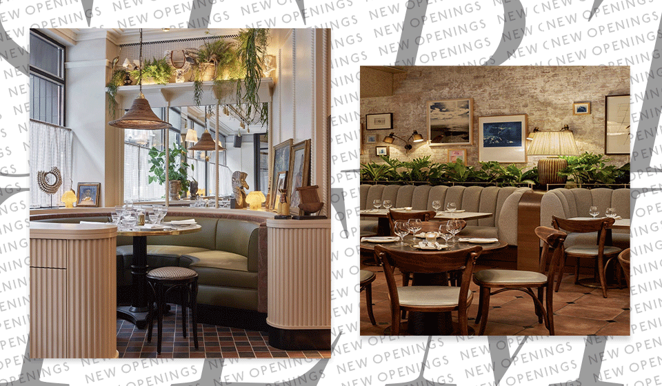 Seven Sensational September Openings - The Handbook