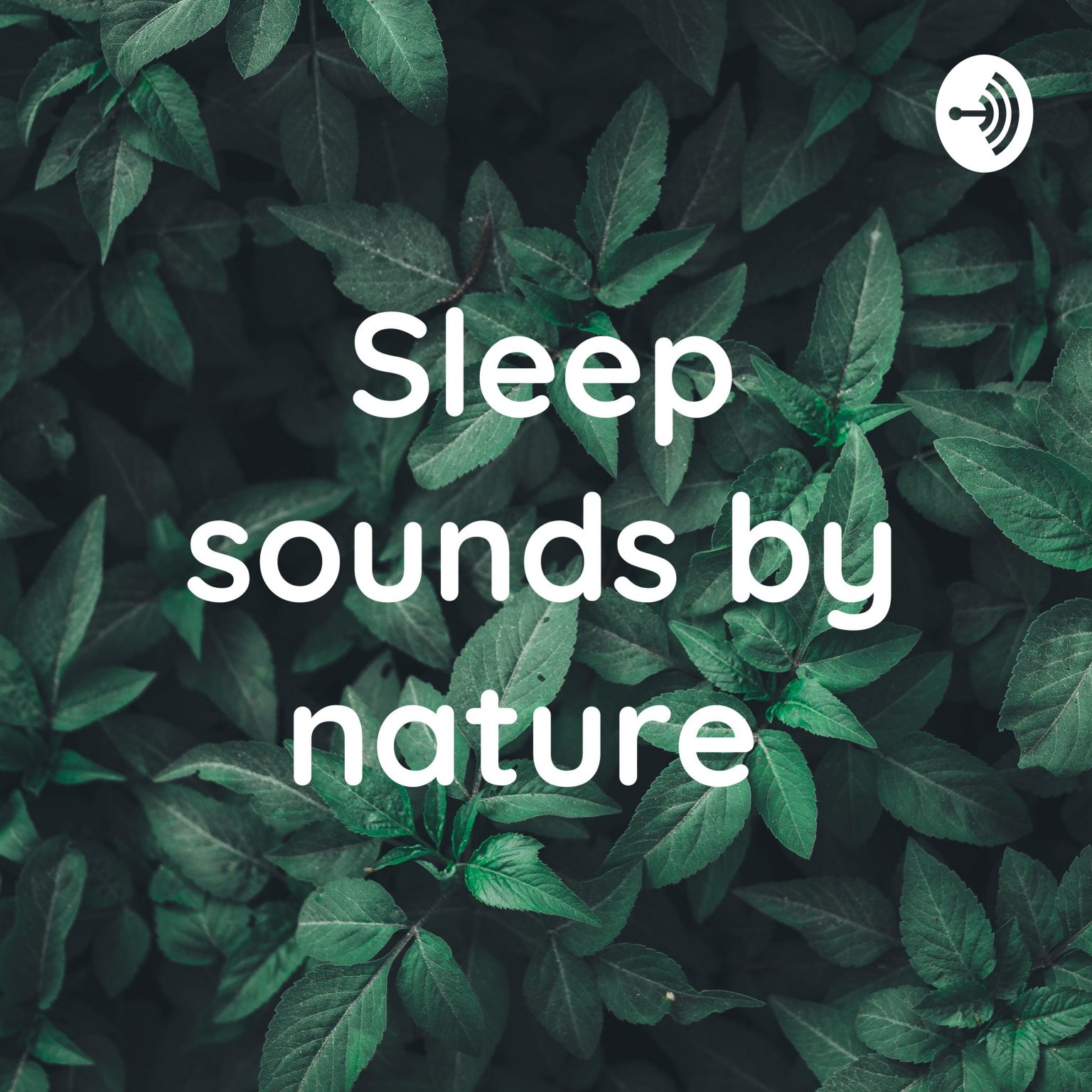 Sleep Podcasts: 8 Podcasts That'll Help You Sleep Well Tonight