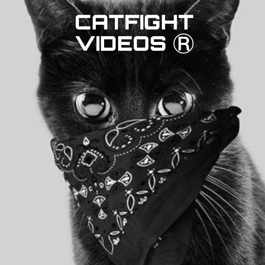Catfights The Handbook