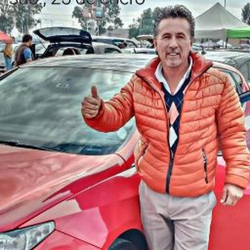 Contact Gringo Cars - Creator and Influencer