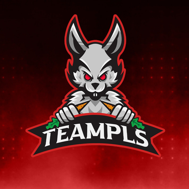 Contact TeamPls - Creator and Influencer