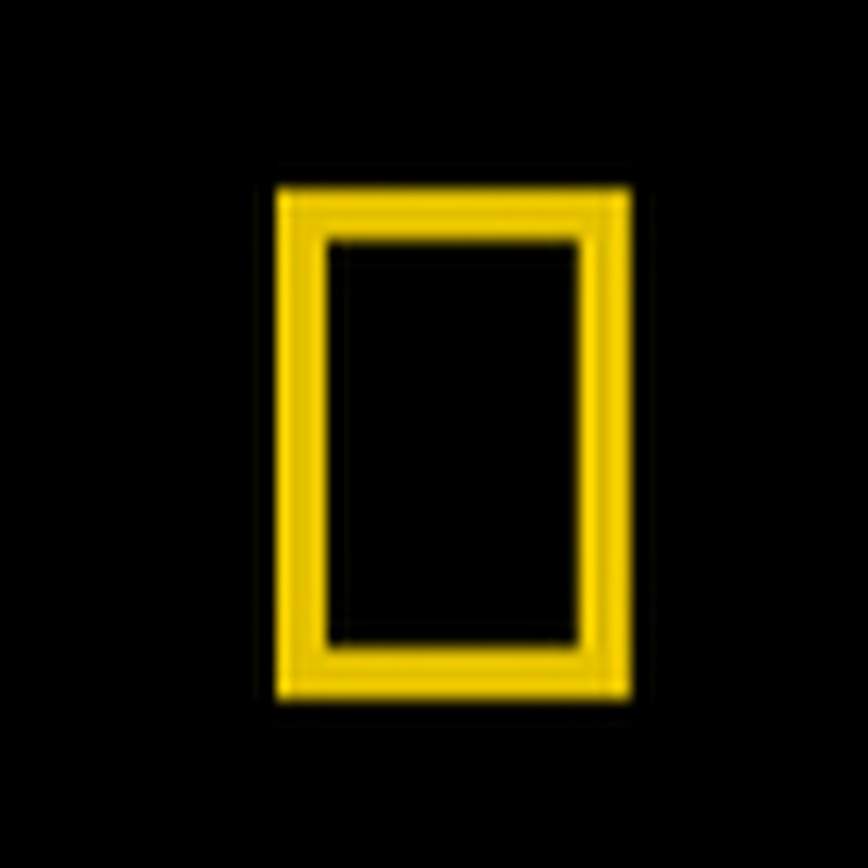 Contact 國家地理 National Geographic - Creator and Influencer