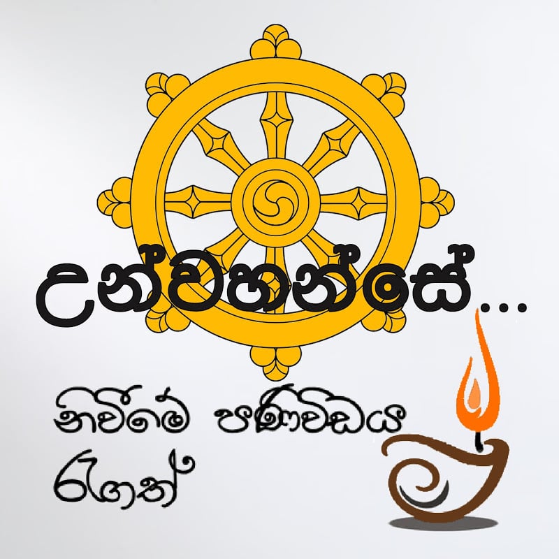 Contact Niwan Dakimu - Creator and Influencer