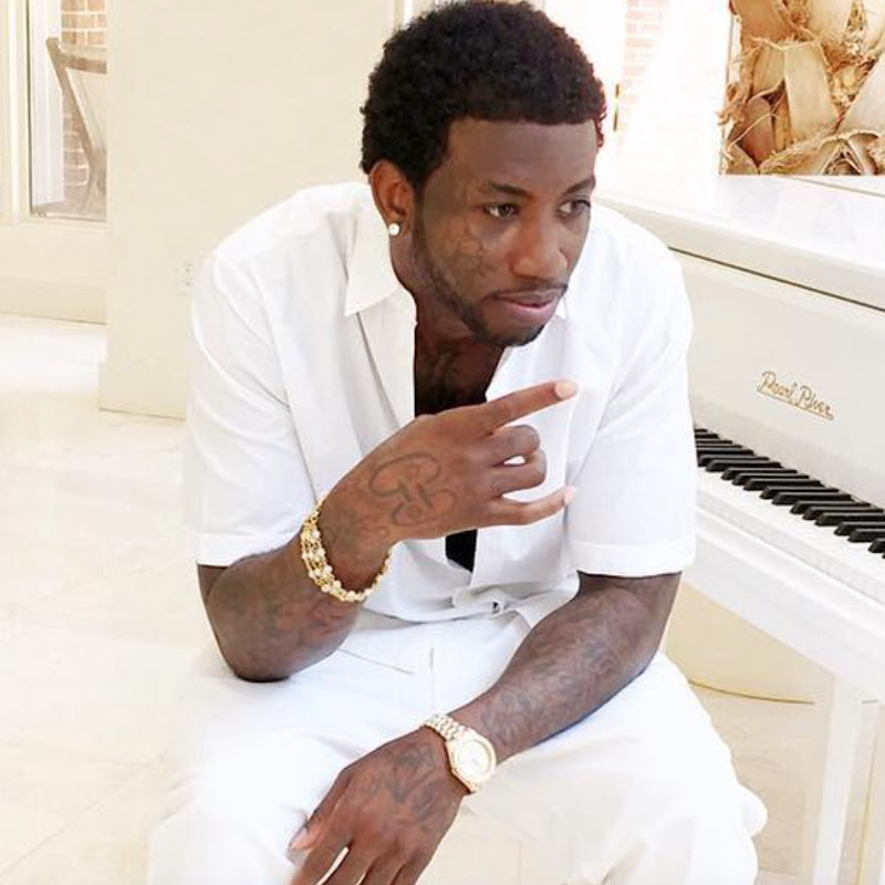 Contact Gucci Clone - Creator and Influencer