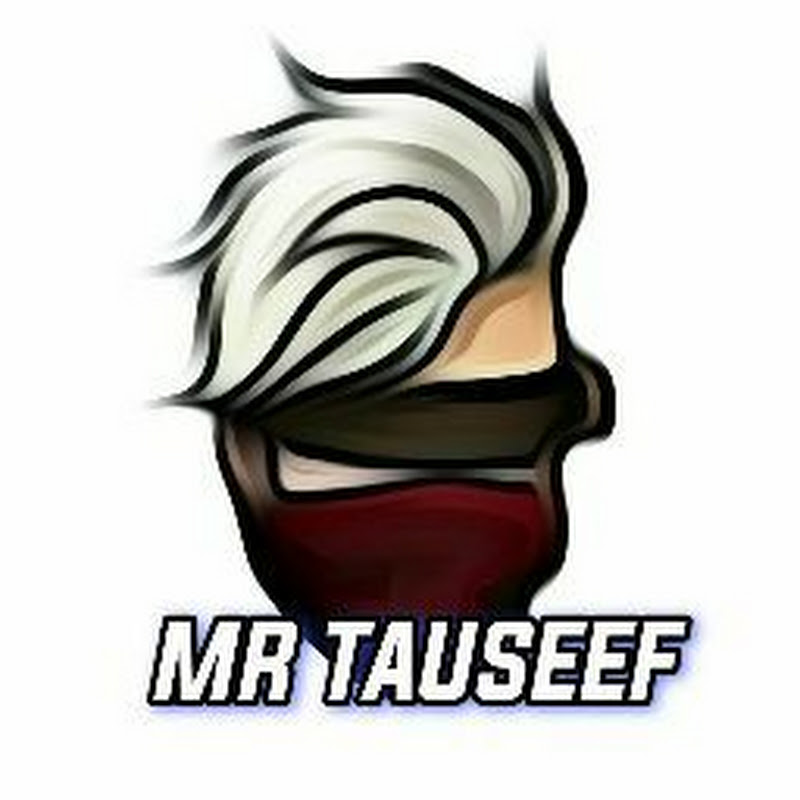 Contact Mr Tauseef - Creator and Influencer