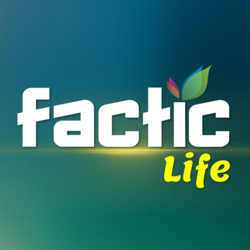 Contact Factic Life - Creator and Influencer