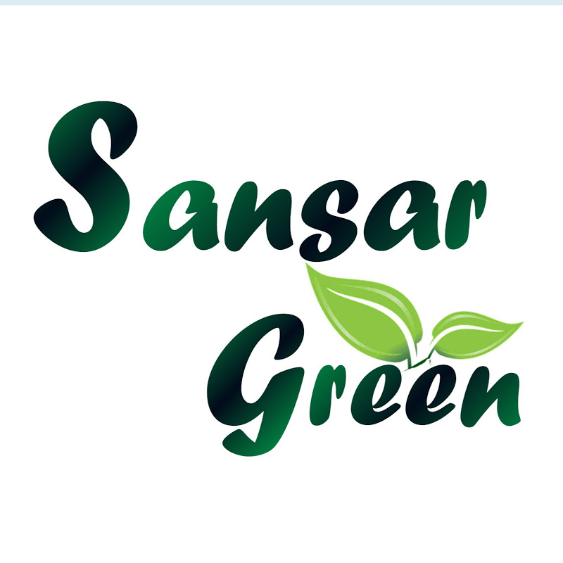 Contact Sansar Green - Creator and Influencer