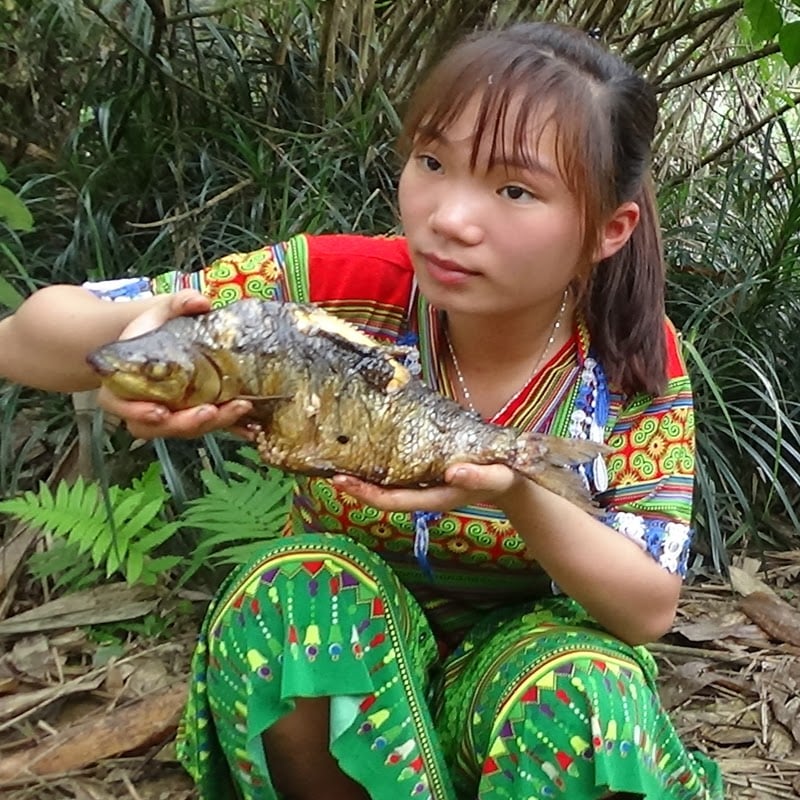 Contact Primitive Food Village - Creator and Influencer