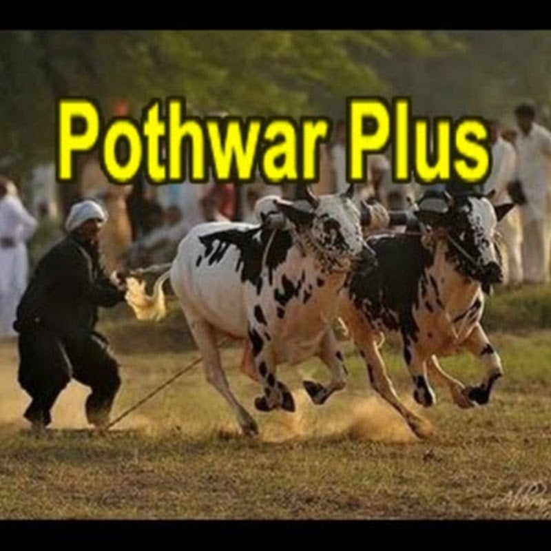 Contact Pothwar Plus - Creator and Influencer