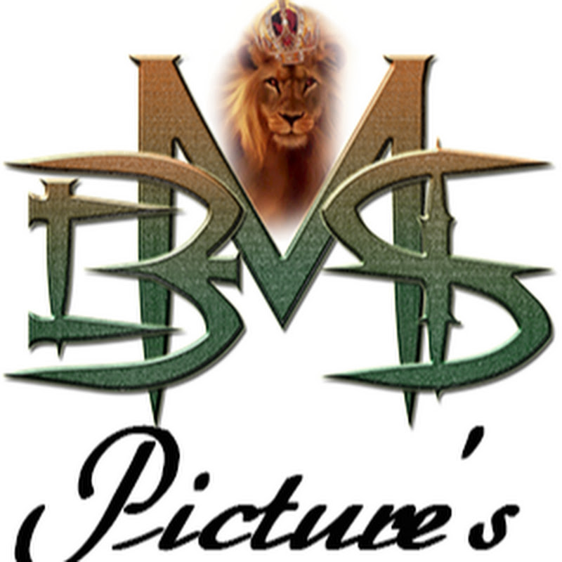 Contact BMS Pictures - Creator and Influencer