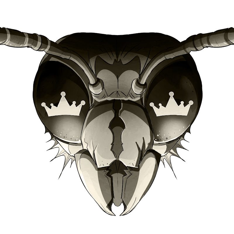 Contact Hornet King - Creator and Influencer