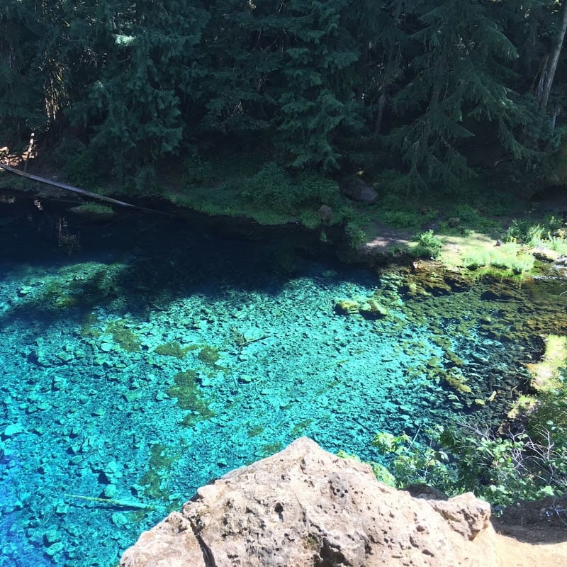 Contact Country Music Channel: Blue River - Creator and Influencer