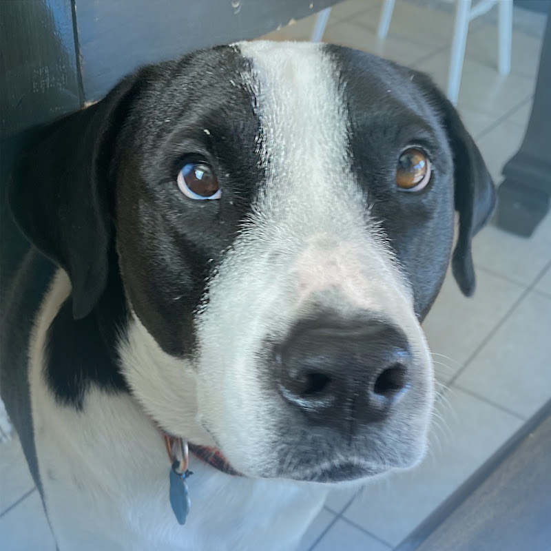 Contact Ekrcoaster - Creator and Influencer