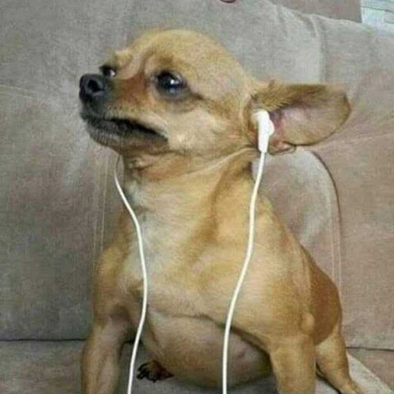 Contact MEMES ZUEIROS BR - Creator and Influencer