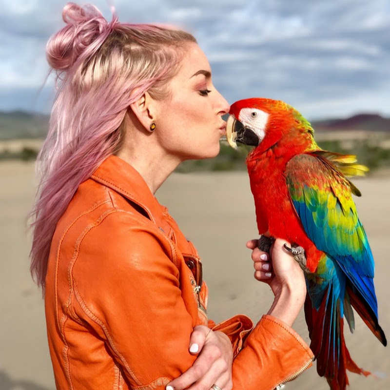 Contact BirdTricks - Creator and Influencer