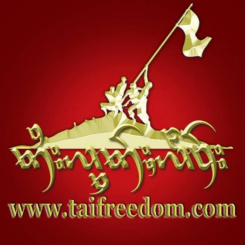 Contact Tai Freedom - Agent, Manager and Publicist Details