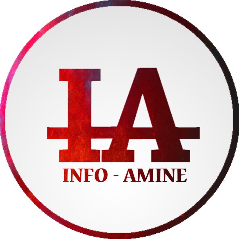 Contact أمين للمعلوماتية Amine Dz I - Creator and Influencer