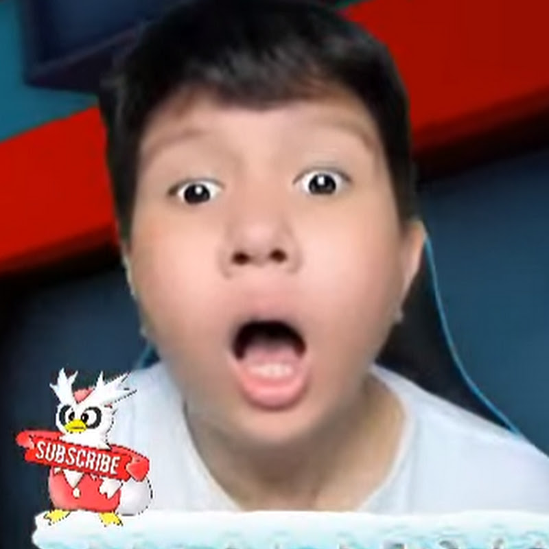 Contact Windah Basudara - Creator and Influencer