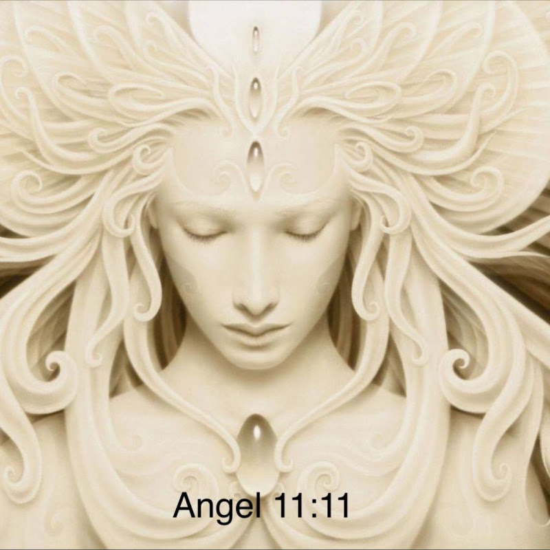 Contact Angel 11:11 - Creator and Influencer