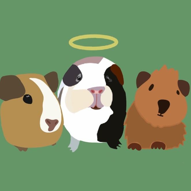 Contact Hobnob And Friends Creator And Influencer