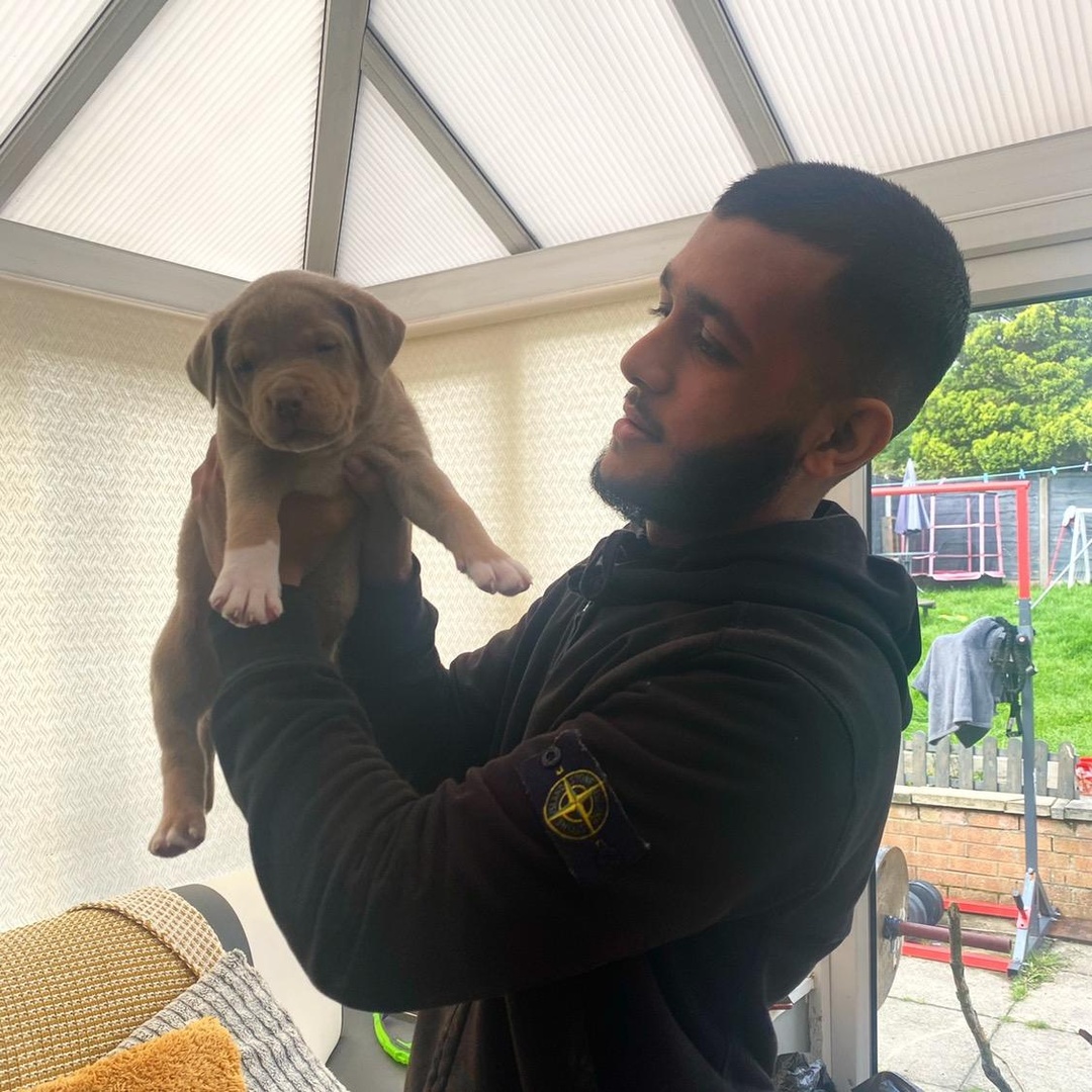 Contact Saif Afzal - Agent, Manager and Publicist Details