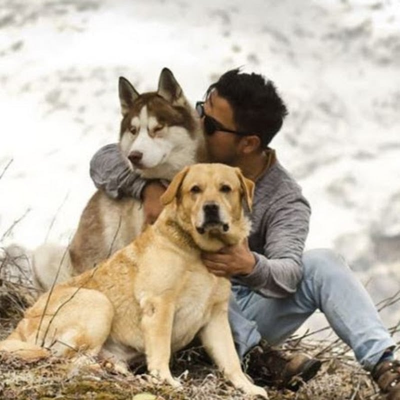 Contact THE HIMALAYAN HUSKY - Creator and Influencer