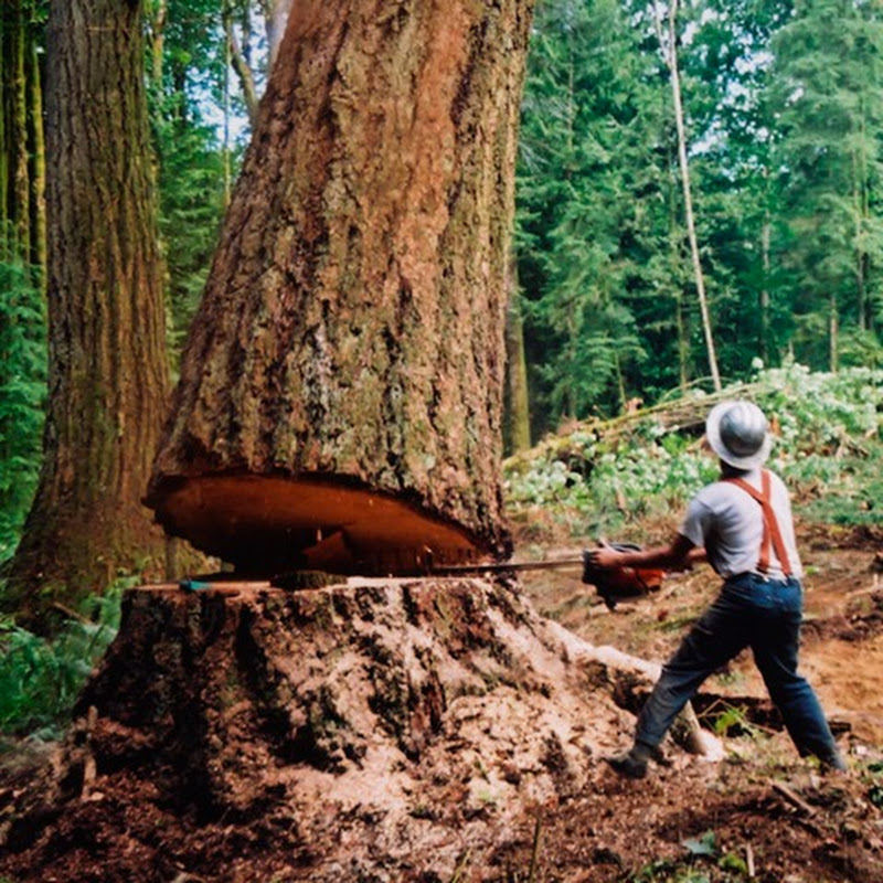 Contact skadill - Creator and Influencer