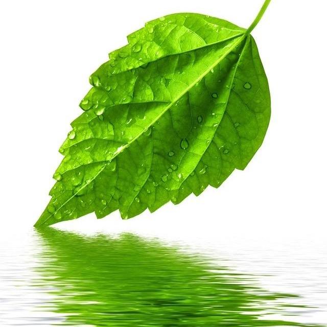 Contact THE NARUTO KID - Creator and Influencer