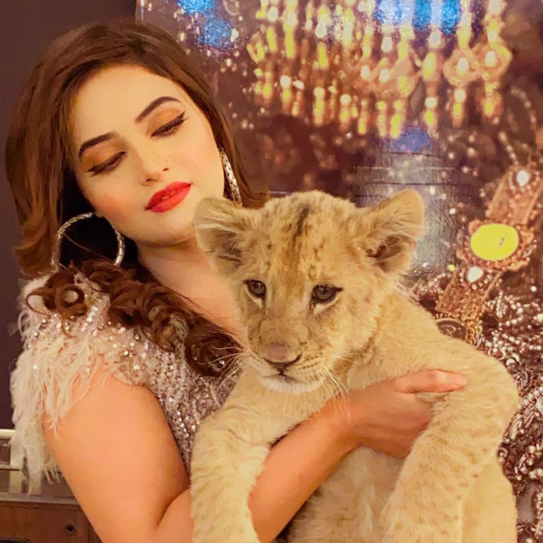 Contact Atiya kayani - Agent, Manager and Publicist Details