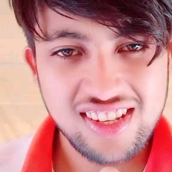 Contact MD MOHSIN - Agent, Manager and Publicist Details