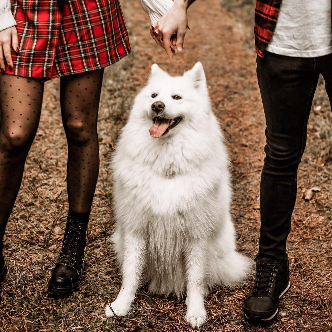 Contact Sabine Eglite - Agent, Manager and Publicist Details