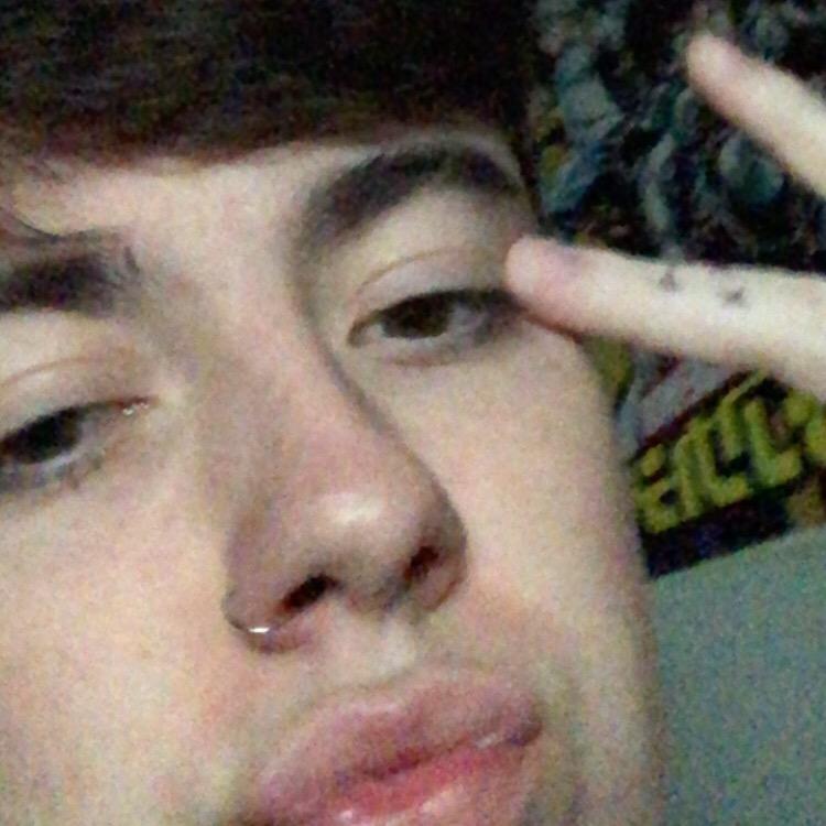 Contact Im ded - Creator and Influencer