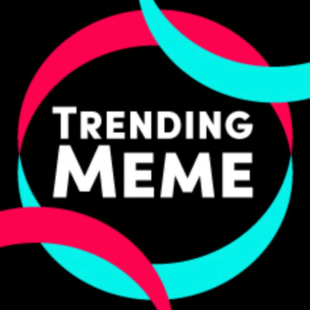 contact-meme-studio-creator-and-influencer