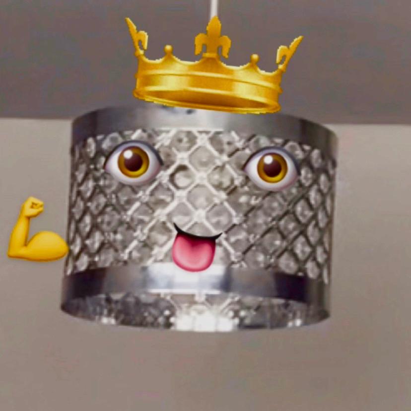 Contact LAMP GANG - Creator and Influencer