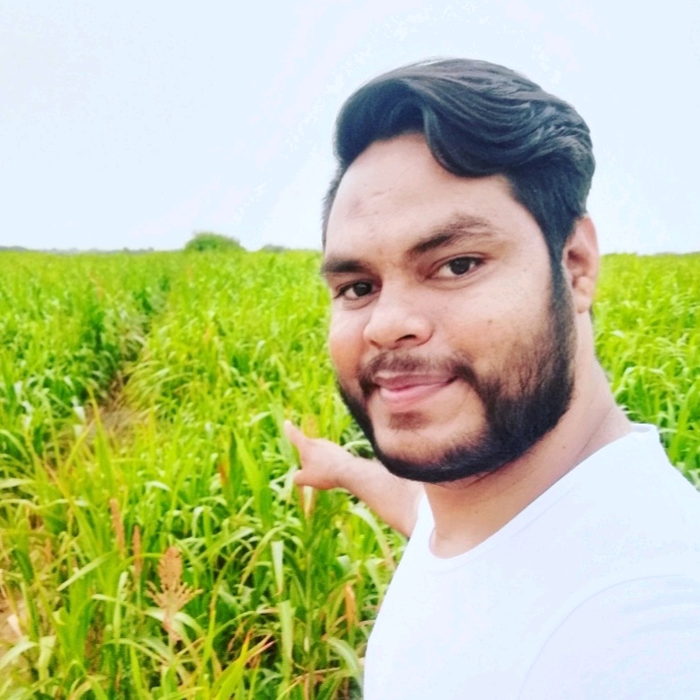 Contact Mohammad Ali Shikdar - Creator and Influencer