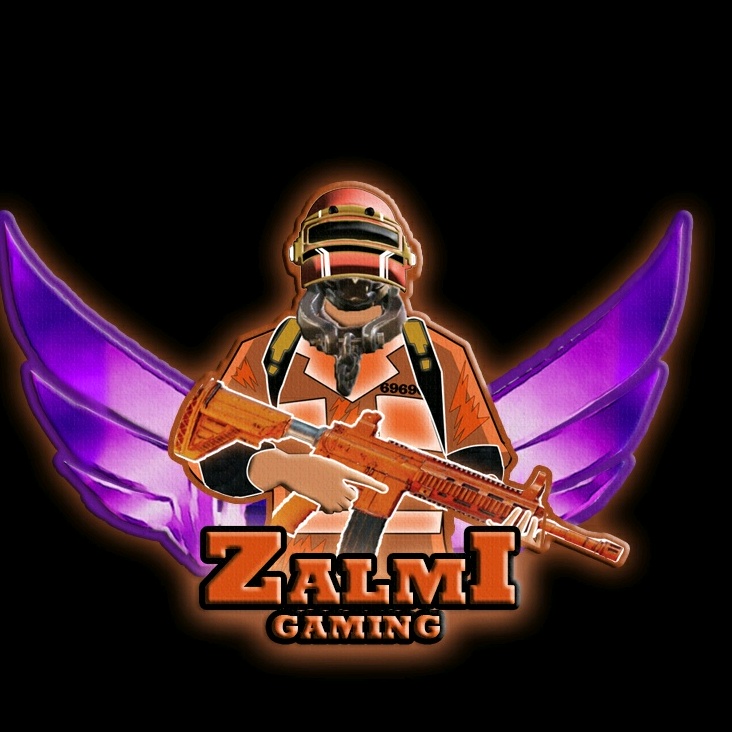 Contact Zalmi gaming - Creator and Influencer