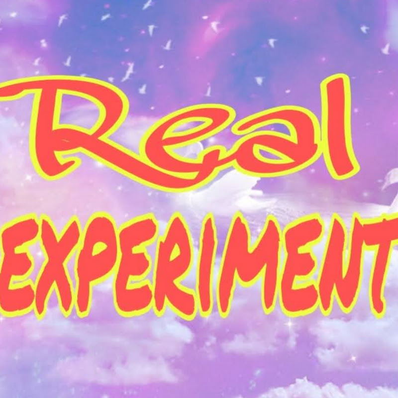 Contact Real Experiment - Creator and Influencer