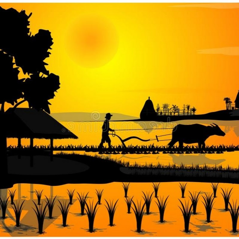 Contact FACT SUN FARMER - Creator and Influencer