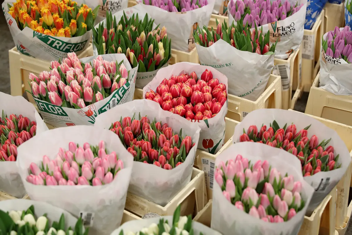 Spring In London: 8 Things To Do