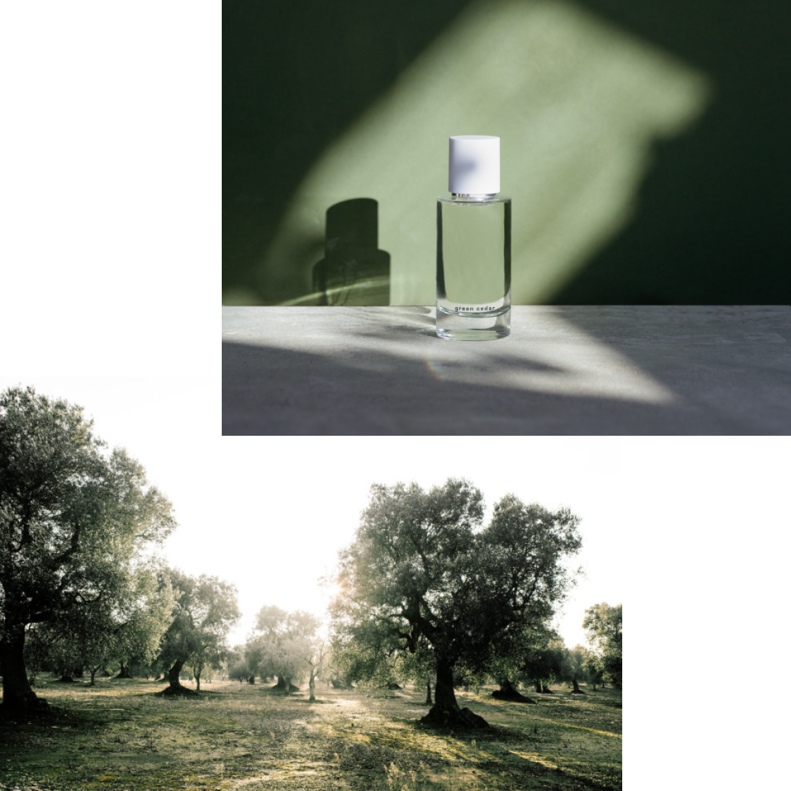 The Eco Edit: From Sezane Farm Rio To Clean Perfumes