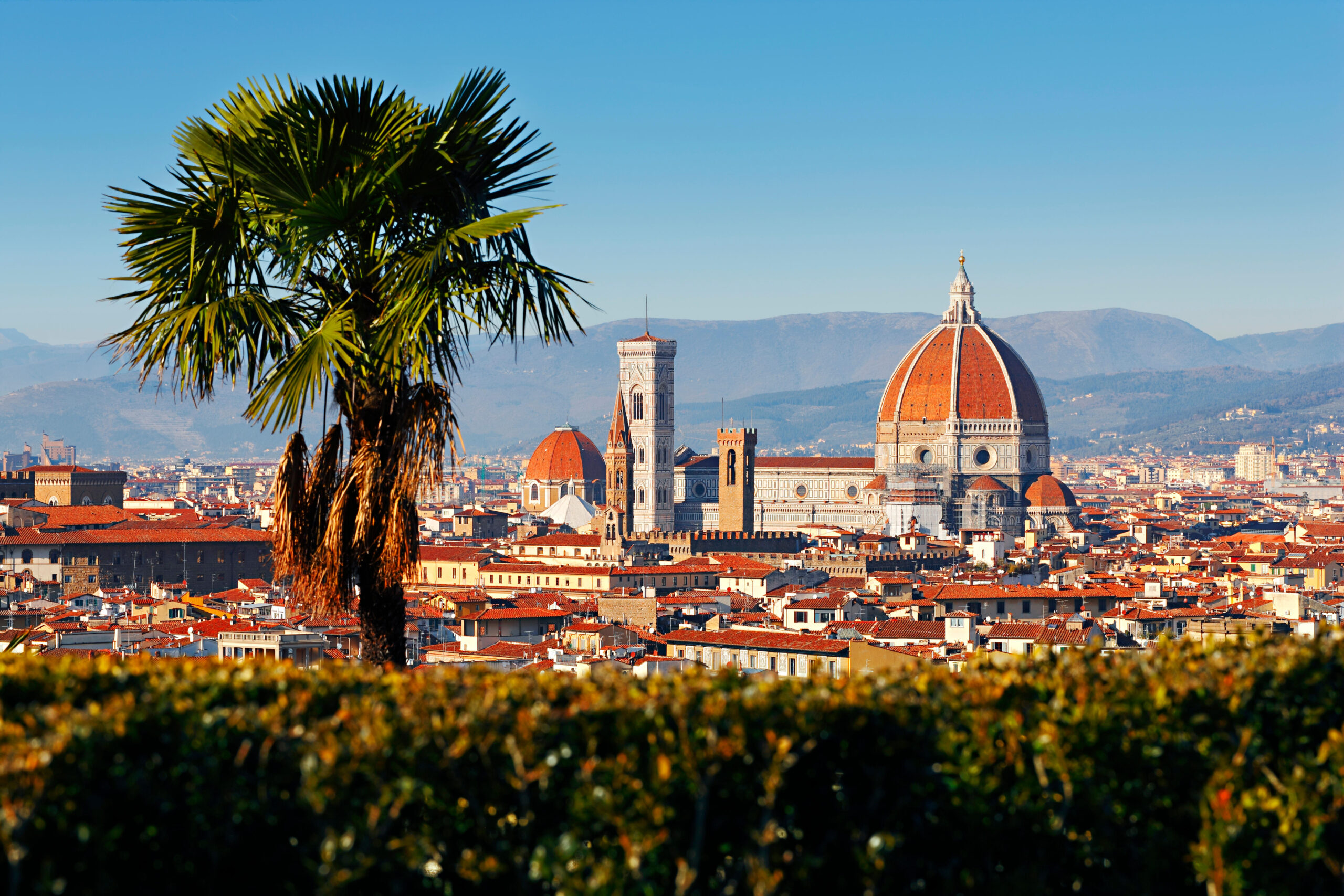 The Ultimate Travel Guide to Florence - The Handbook