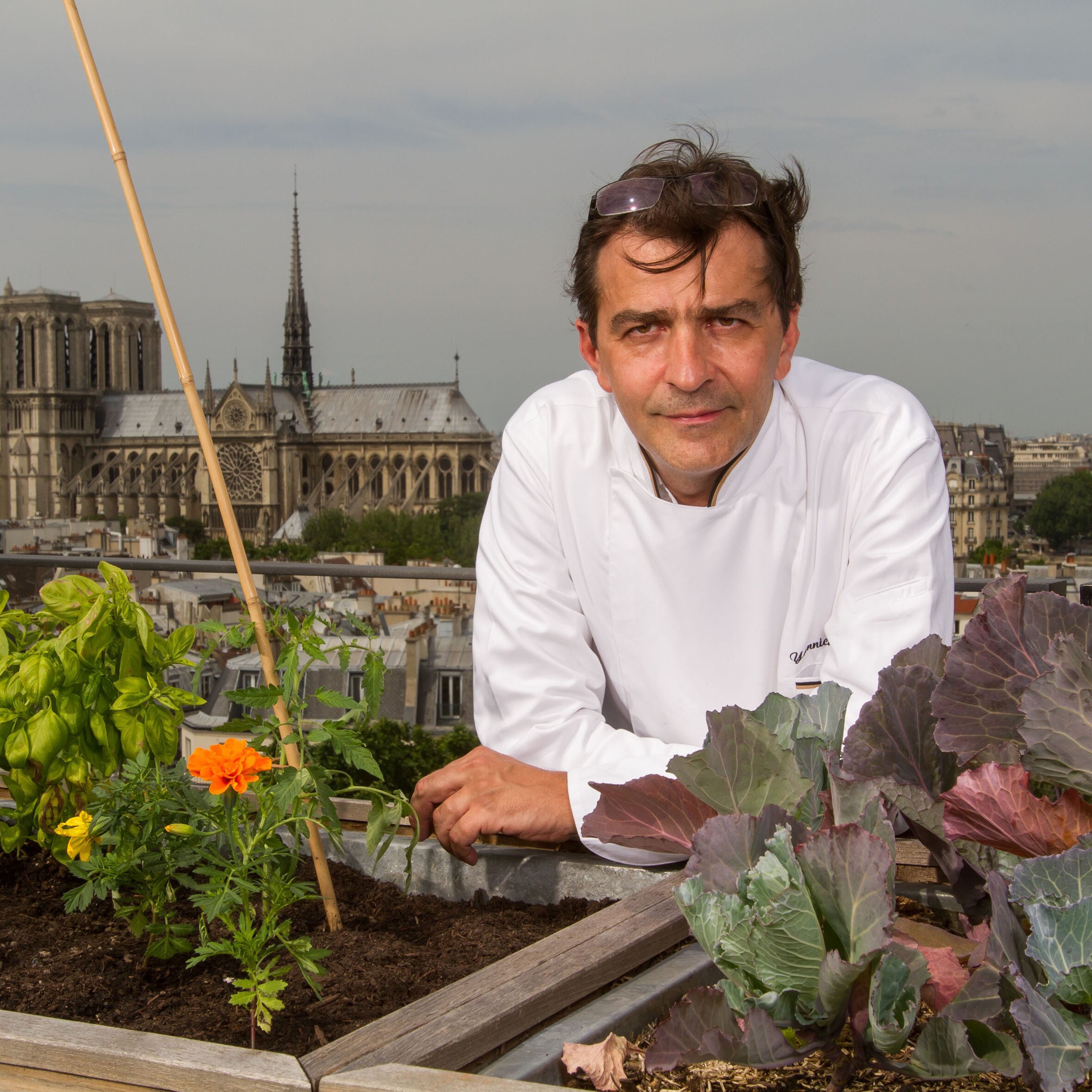 Which Chefs Have The Most Michelin Stars?