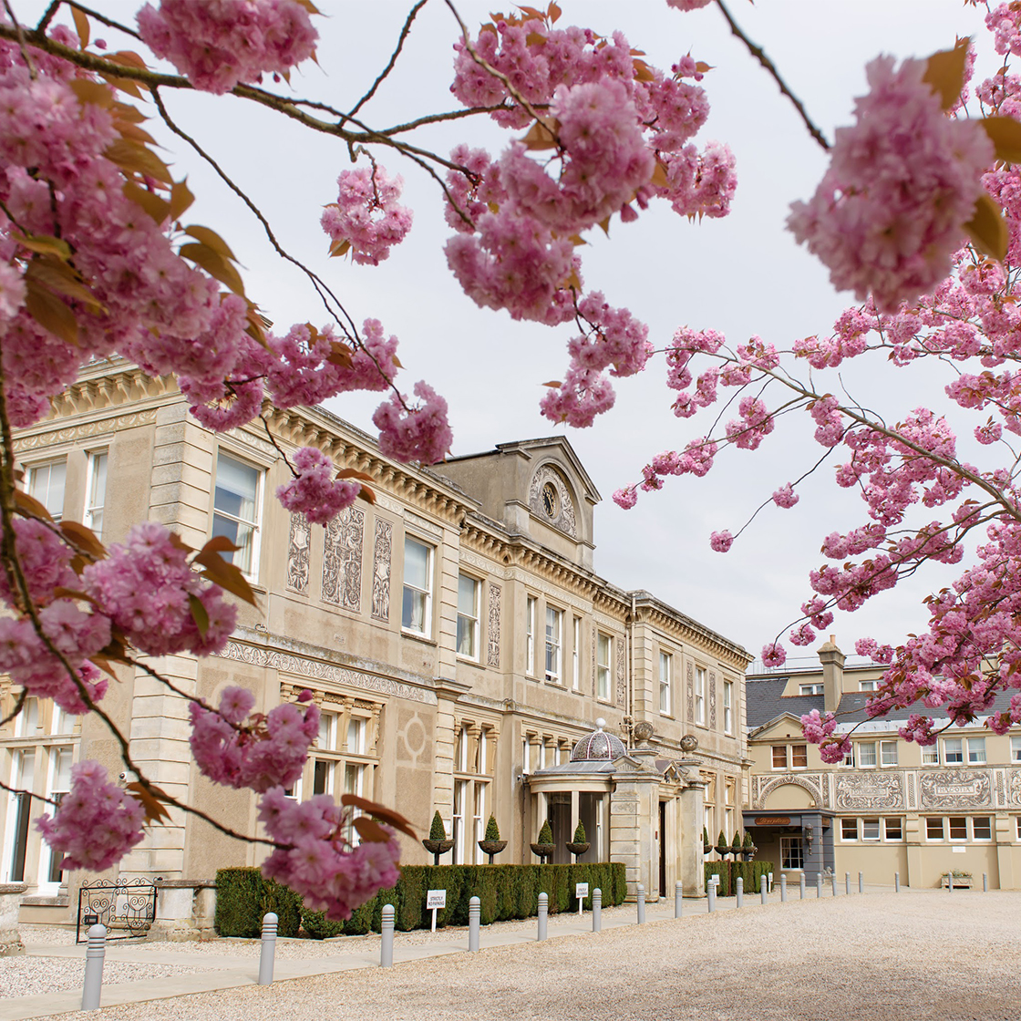 Gordon Ramsay's Crispy Roast Potatoes Recipe