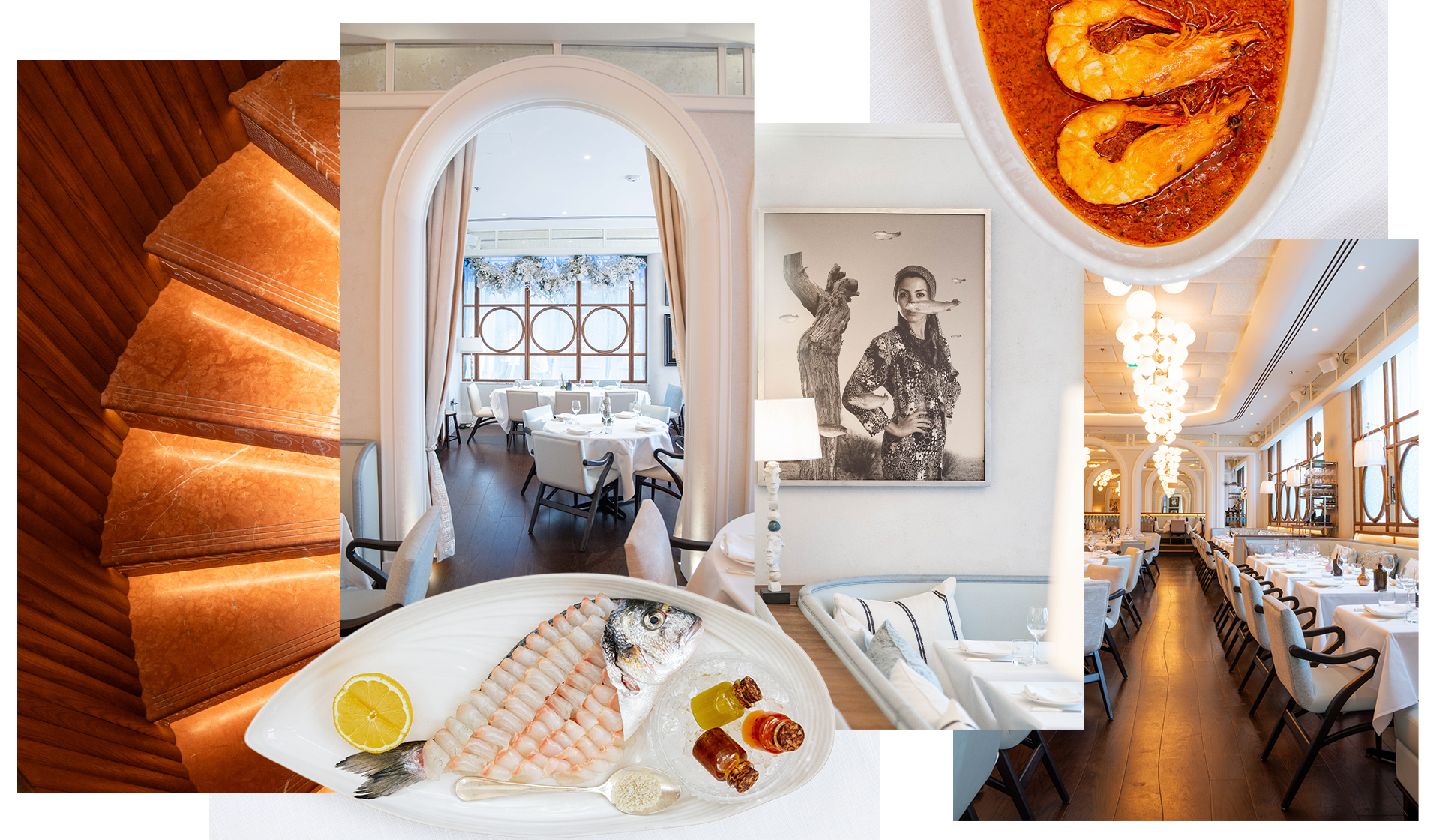 Inside Gaia, A Must-Visit Greek Restaurant In Mayfair