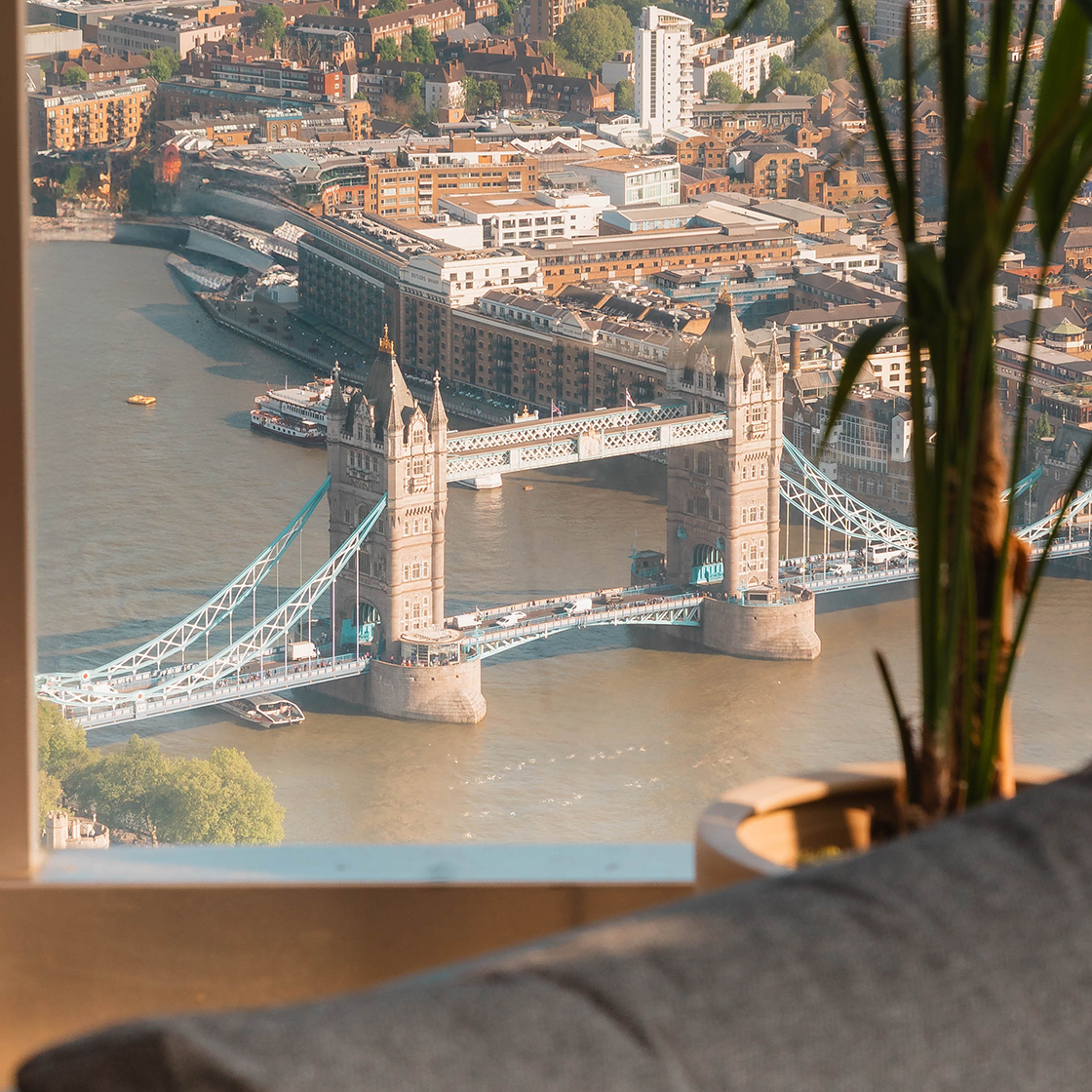 Lighthouse Social is Bringing a Fresh Vibe to London’s Club Scene